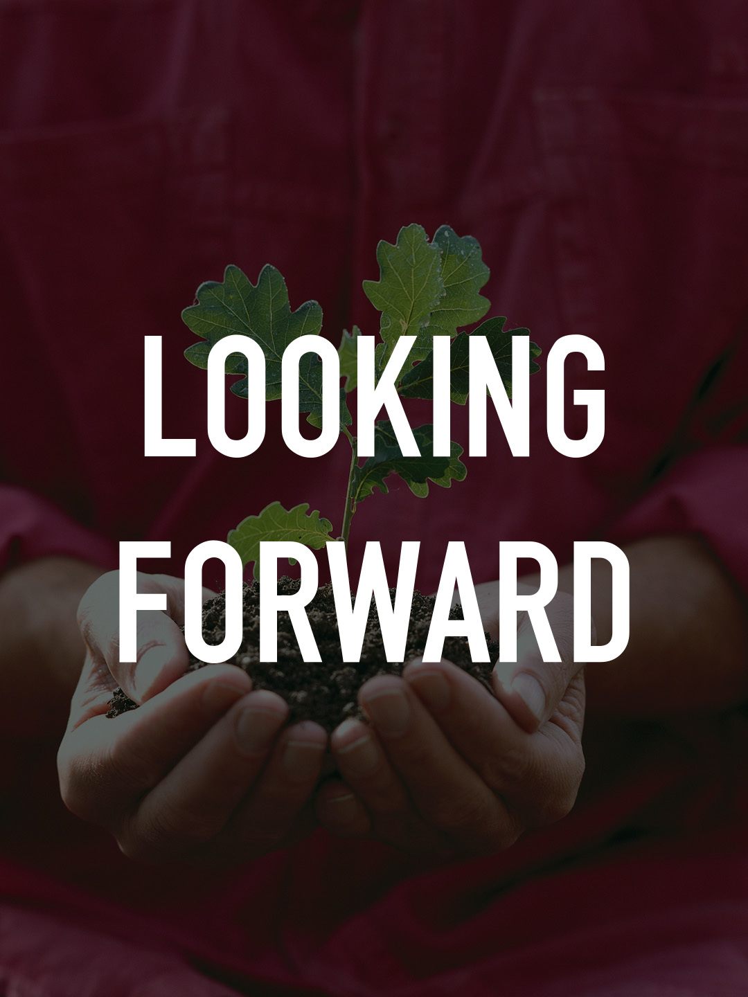 Zee TV Online | Watch Zee TV Live | Zee TV Hindi Live