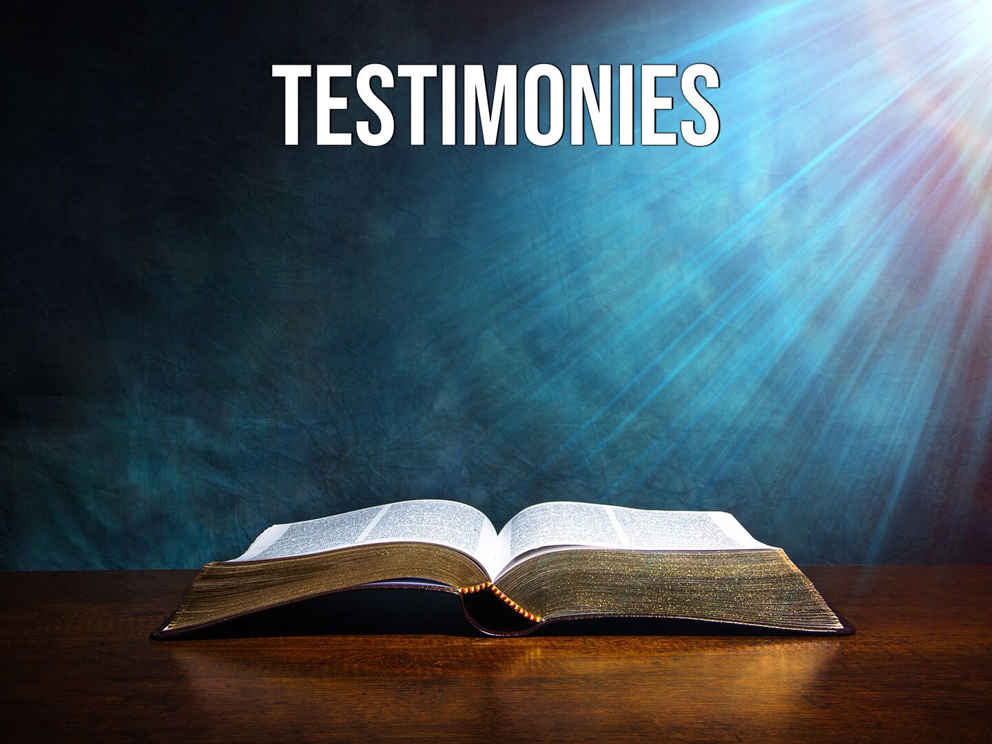 SVBC Online | Watch SVBC Live | SVBC Telugu Live