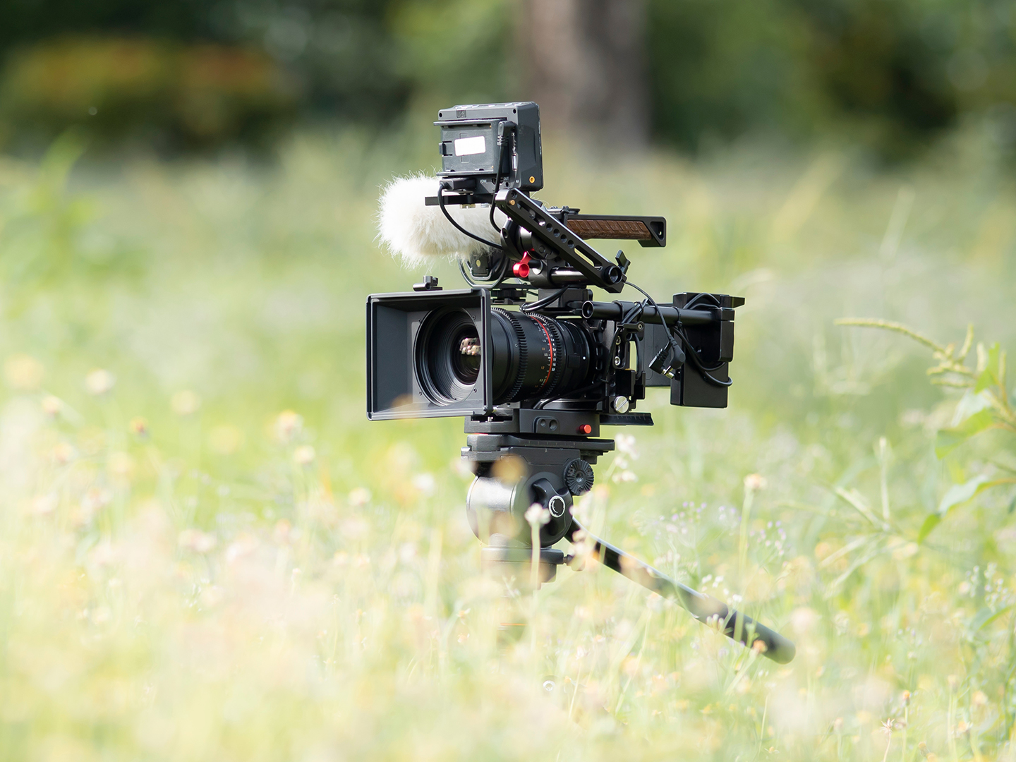 Dy 365 Online | Watch Dy 365 Live | Dy 365 ASM Live