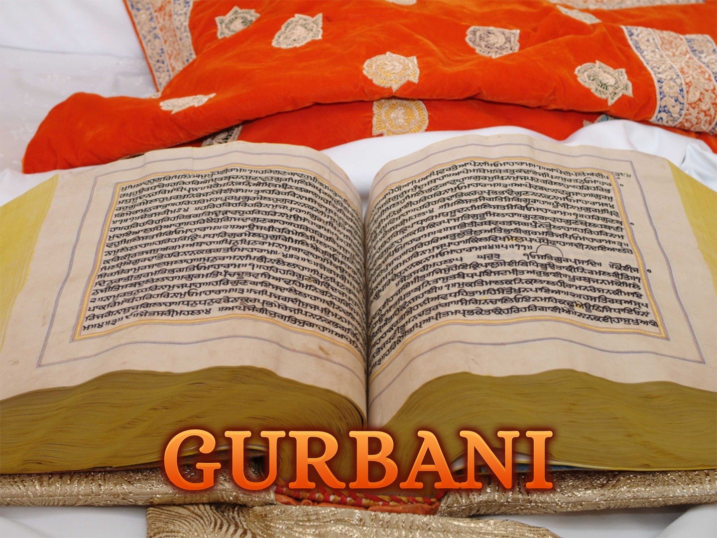 Watch Roadies Latest Episode | MTV India Roadies Show Online